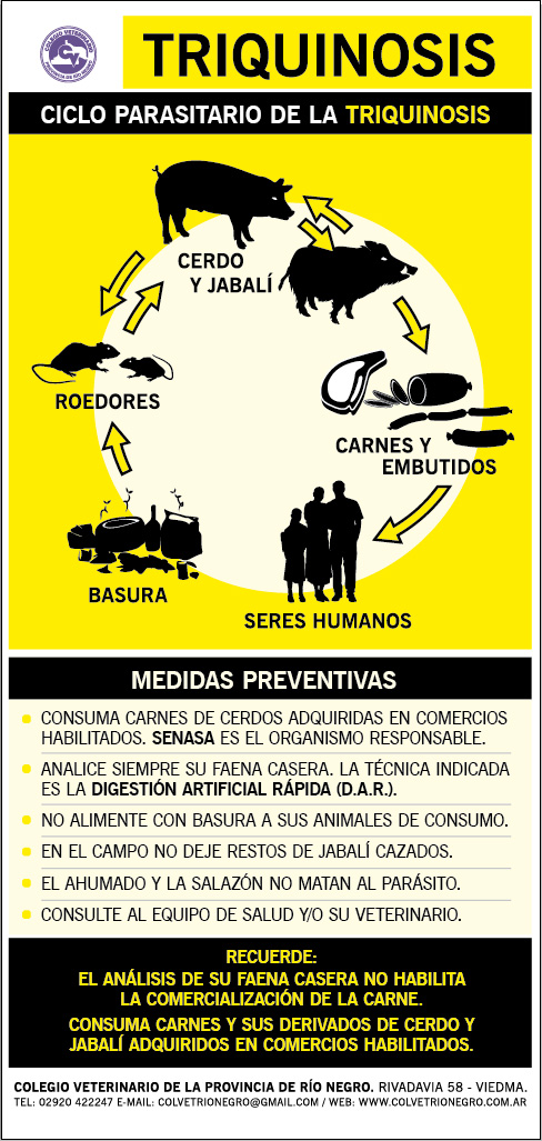 TRIQUINOSIS: Qué es y cómo prevenirla - Colegio Veterinario Rio Negro