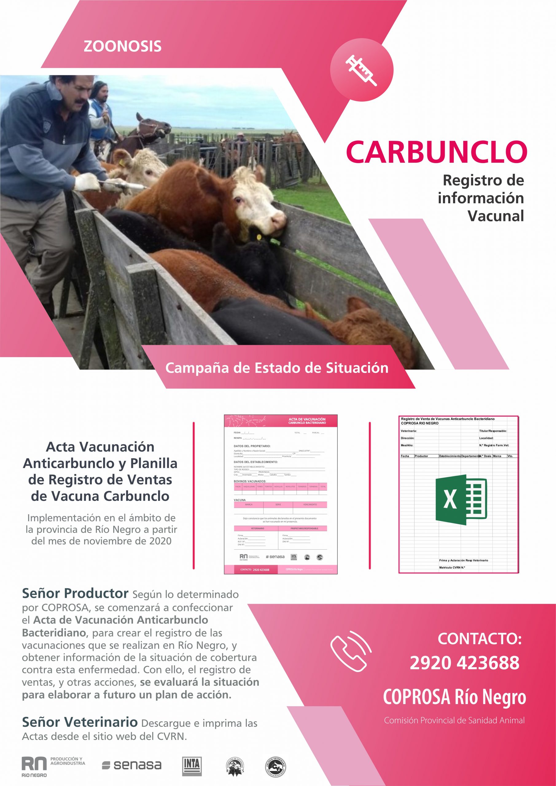Carbunco bacteridiano, Vacunación estratégica - Colegio Veterinario Rio Negro