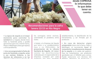 Bienestar Animal - Colegio Veterinario Rio Negro