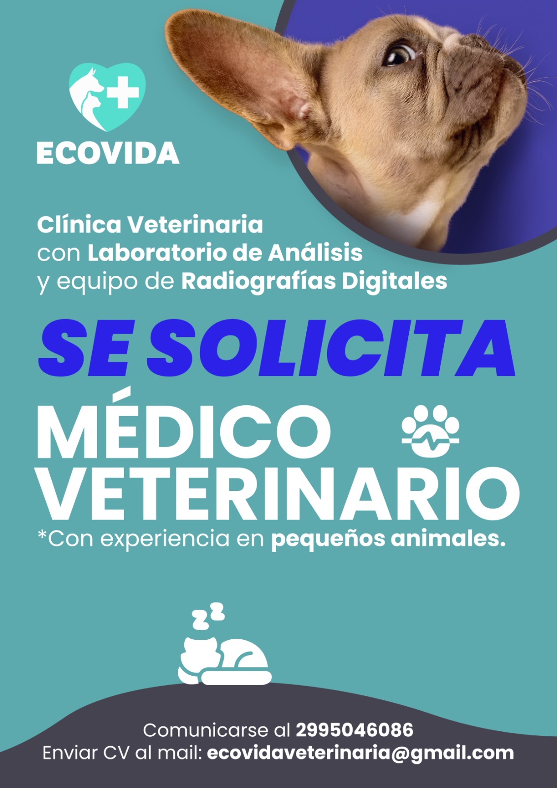 Bolsa de trabajo - Colegio Veterinario Rio Negro